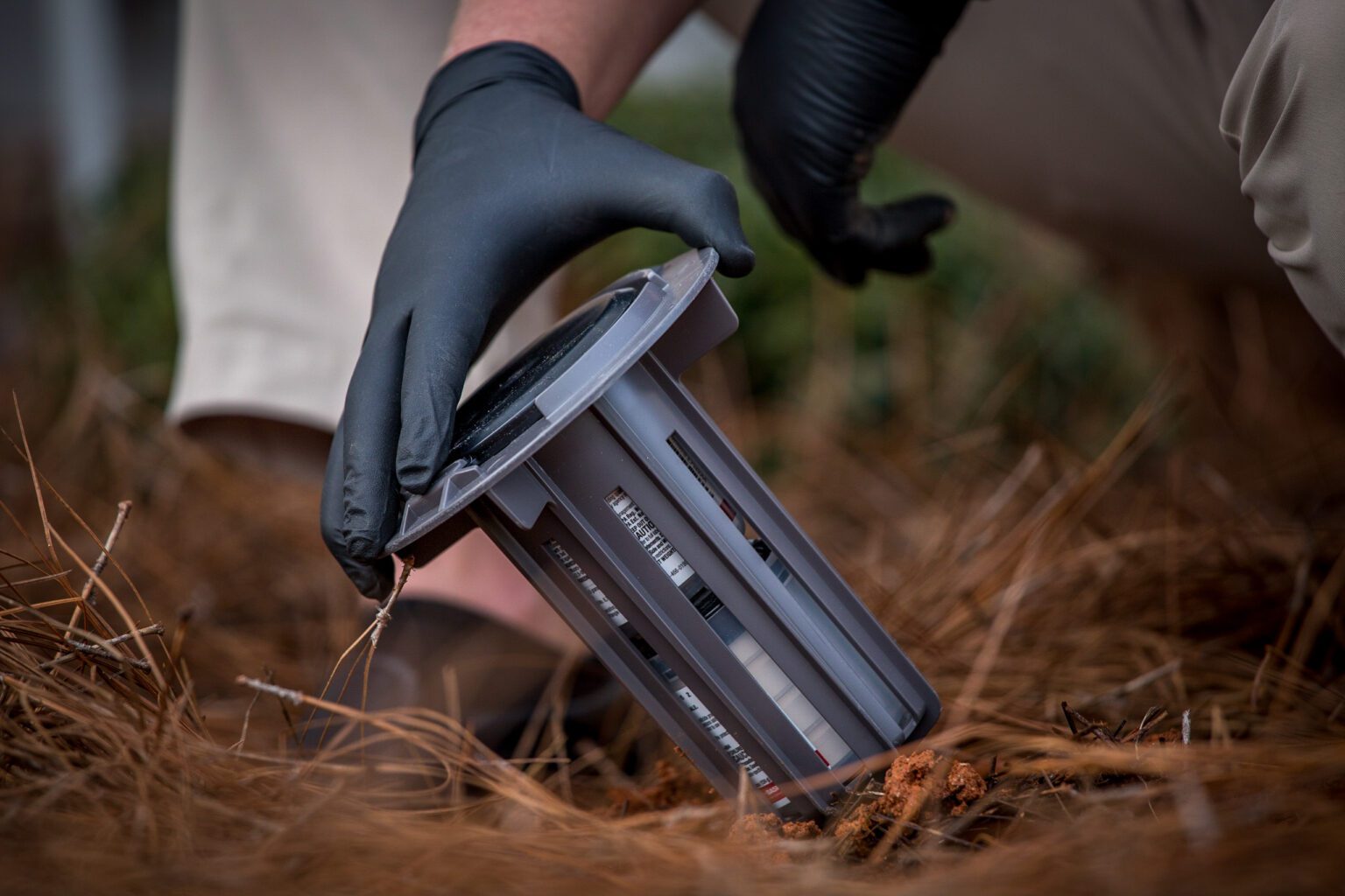 Termite Control & Treatment Services - TopDog Pest